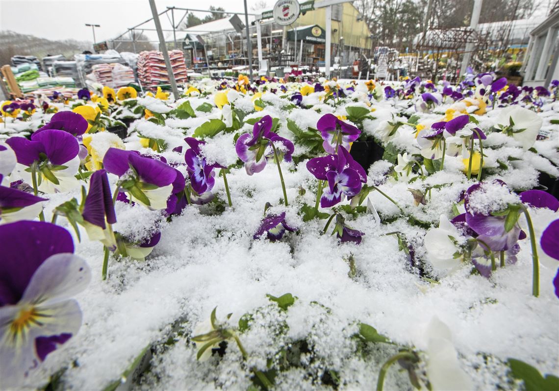 WEATHER: March goes out like a lamb, but April roars in with cold and ...