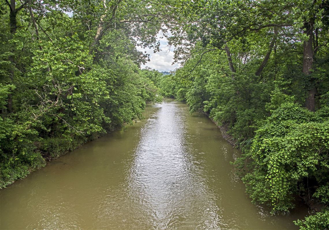 DEP determines cause of Chartiers Creek fish kill to be fungicide ...