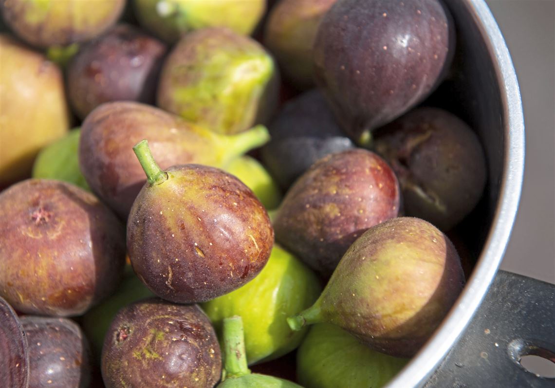 In season: Jammy figs are ephemeral in Pittsburgh | Pittsburgh Post-Gazette