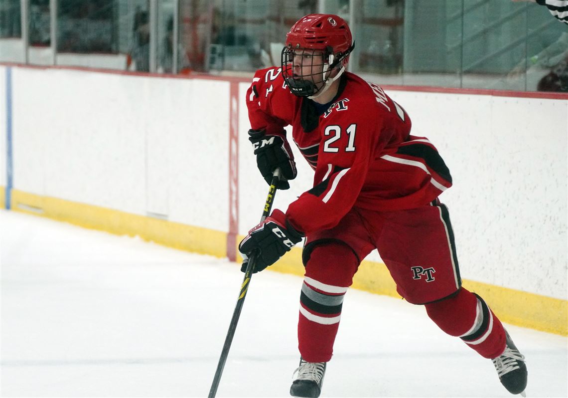 PIHL semifinal preview: Peters Township vs. North Allegheny matches ...