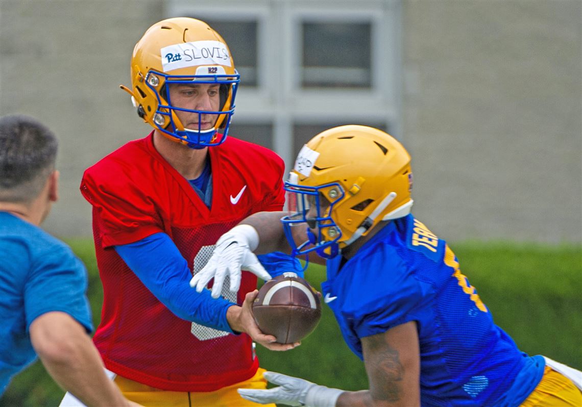 Paul Zeise: Steelers and Pitt will win games on the ground this season ...