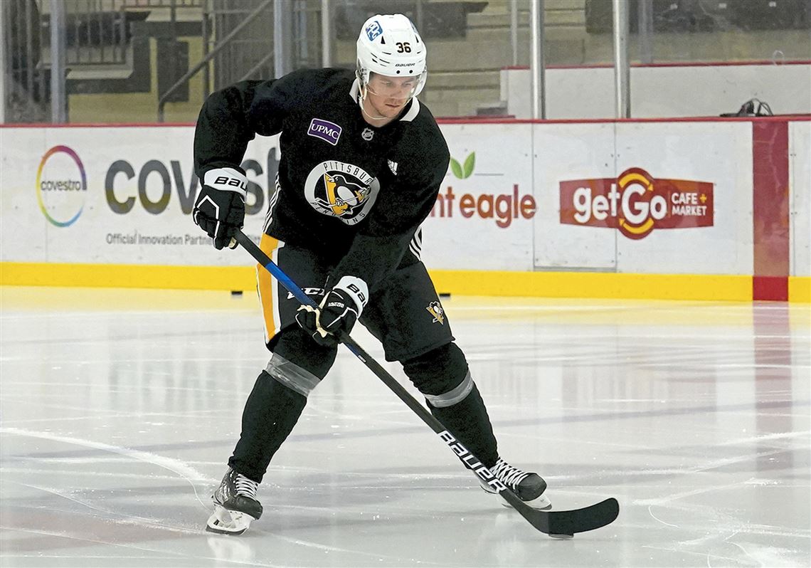 Penguins prospect Filip Hallander returns to game action following ...