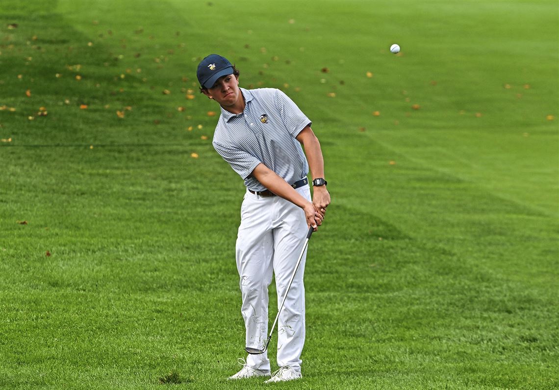 Central Catholic boys golf team wins state championship | Pittsburgh ...