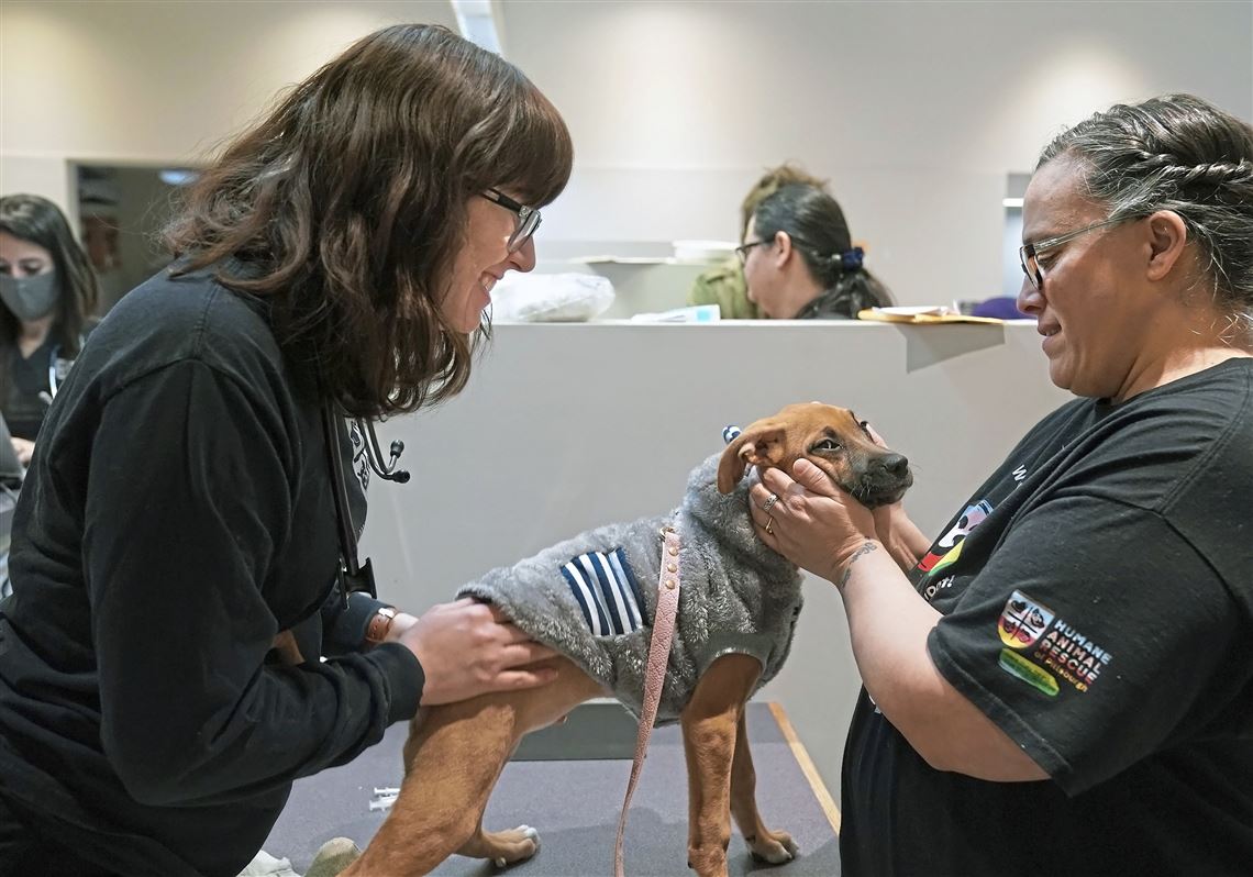 Humane Health Coalition expands treatment for homeless people and their ...