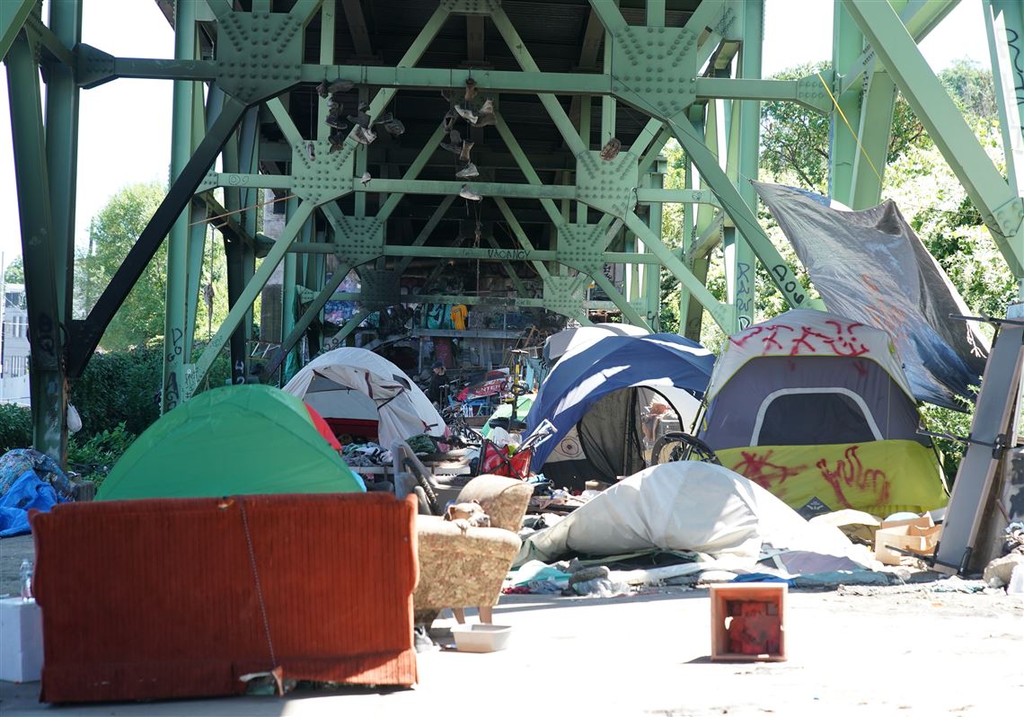 Pittsburgh vote on ‘tiny homes’ for homeless is delayed by city council ...