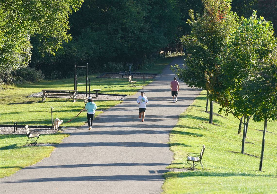 Jermon Drake: Equitable brain health requires equitable green space ...