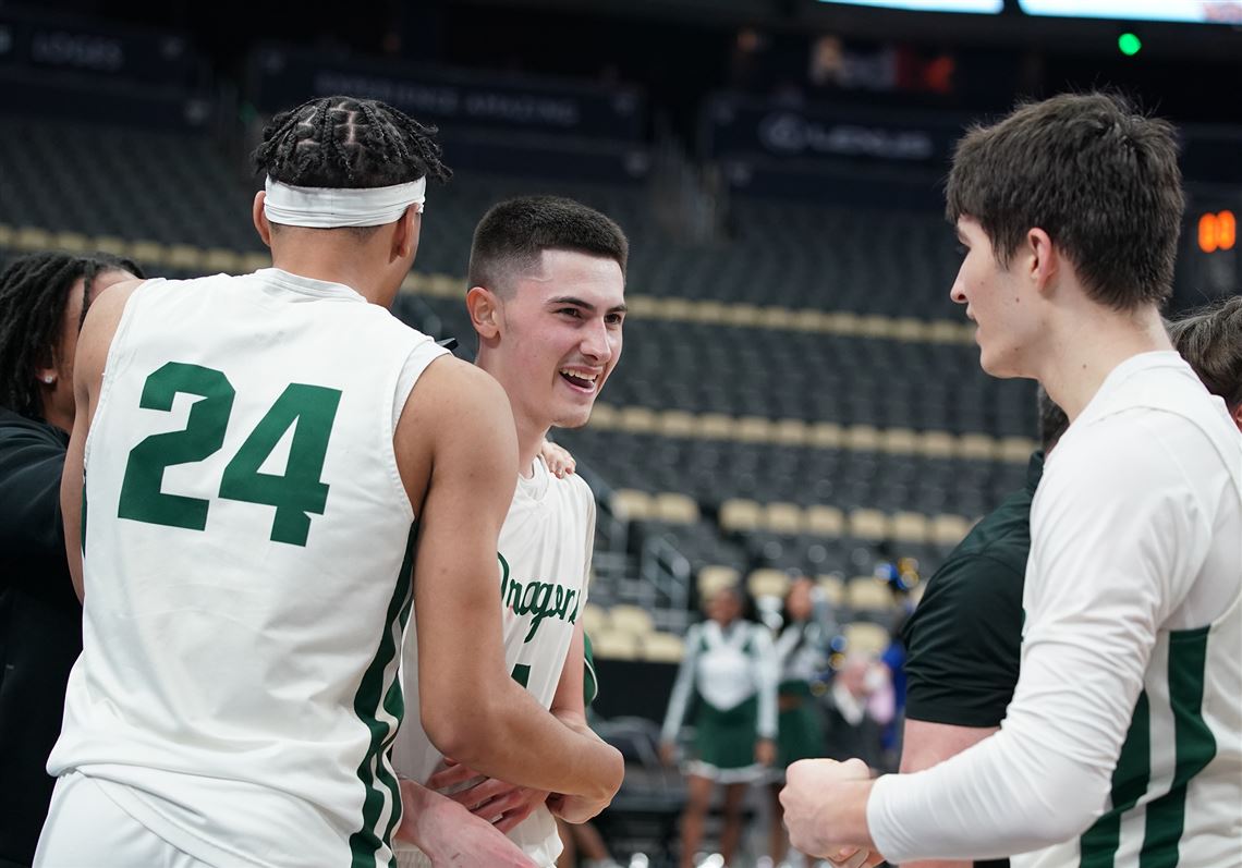 High school boys basketball highlights: Golle sends Allderdice to win ...