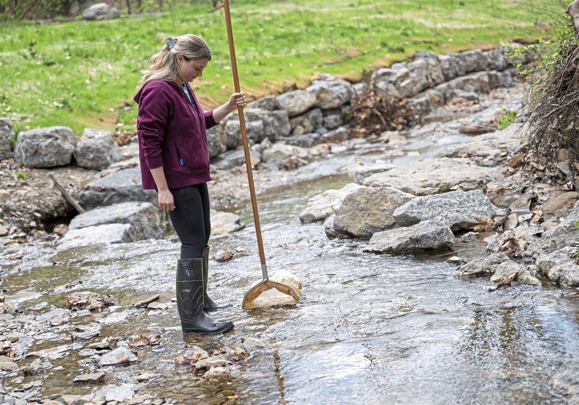 How school districts are responding to Pennsylvania's new science ...