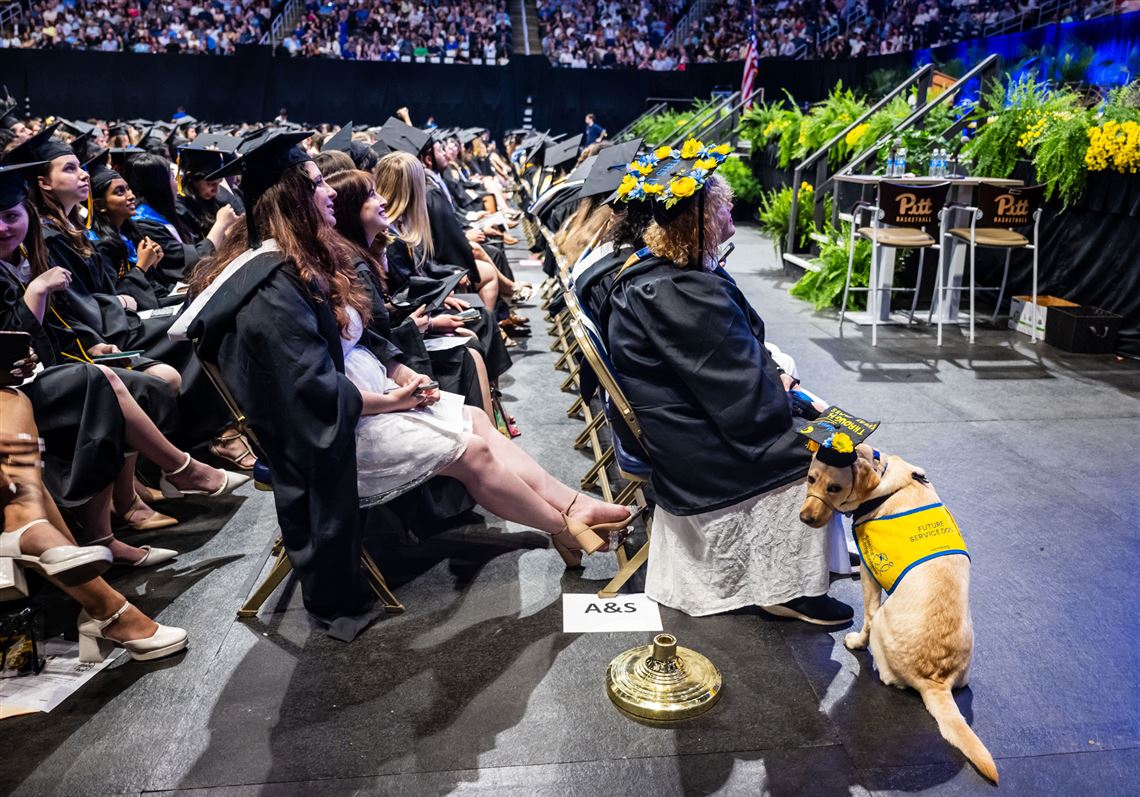 'Magical': Pitt honors graduates at class of 2024 commencement ...
