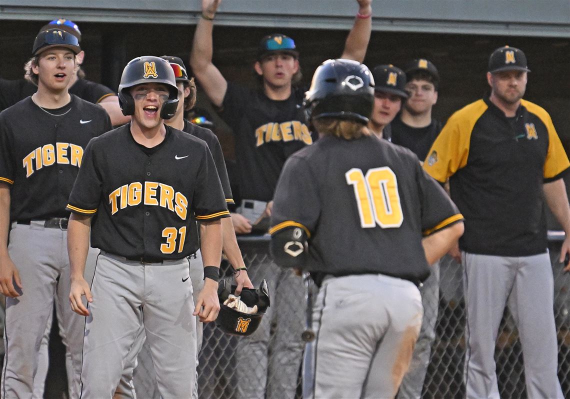 WPIAL baseball semifinals: Gio LoNero ejected, suspended in Seton ...