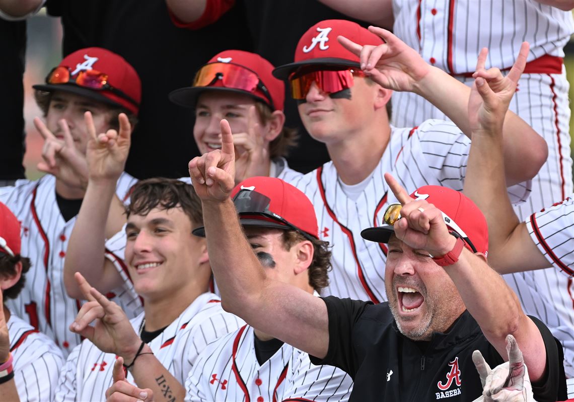Avonworth beats Punxsutawney in PIAA baseball playoffs | Pittsburgh ...