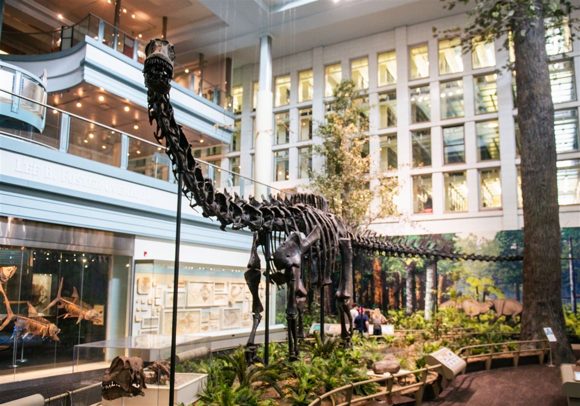 Dusting off Dippy the dinosaur to celebrate 125 years of the world's ...