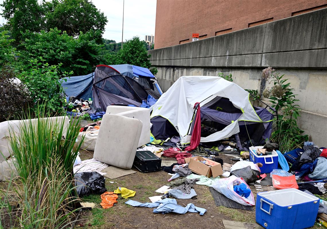 Pittsburgh City Council pulls bid for tiny homes to address ...