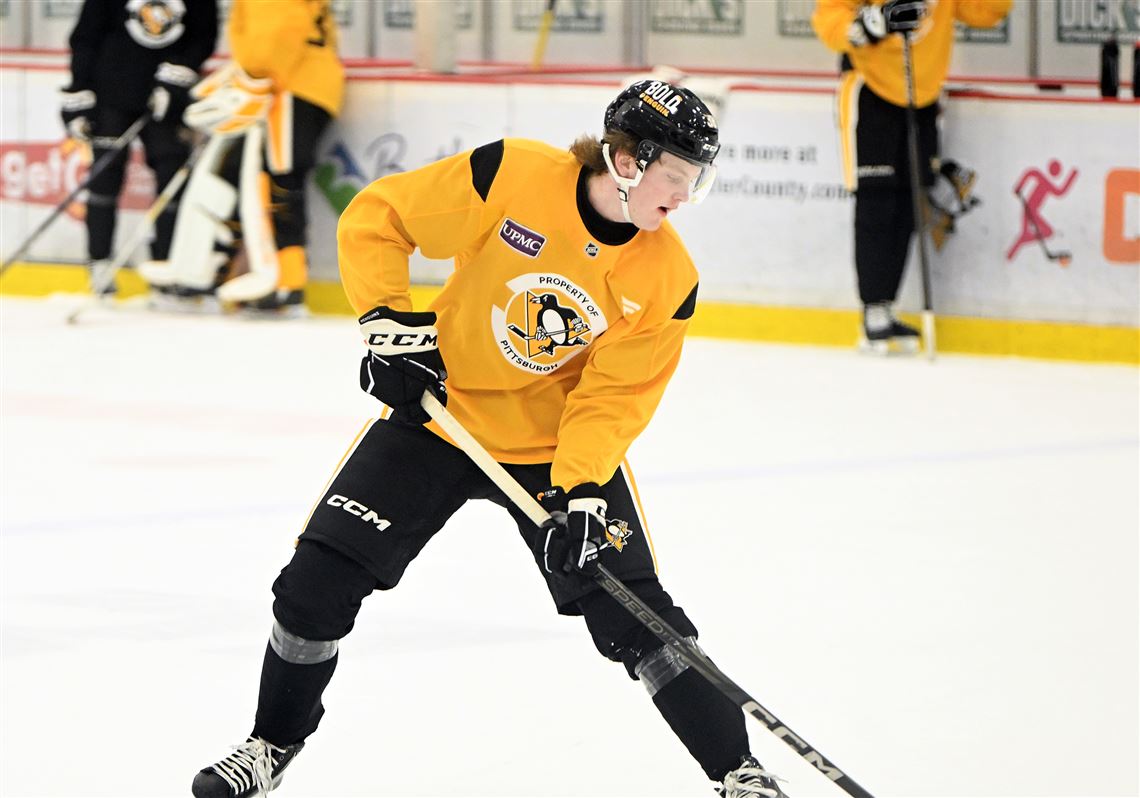 Penguins rookie Owen Pickering is keeping it ‘simple,’ staying ‘ready ...
