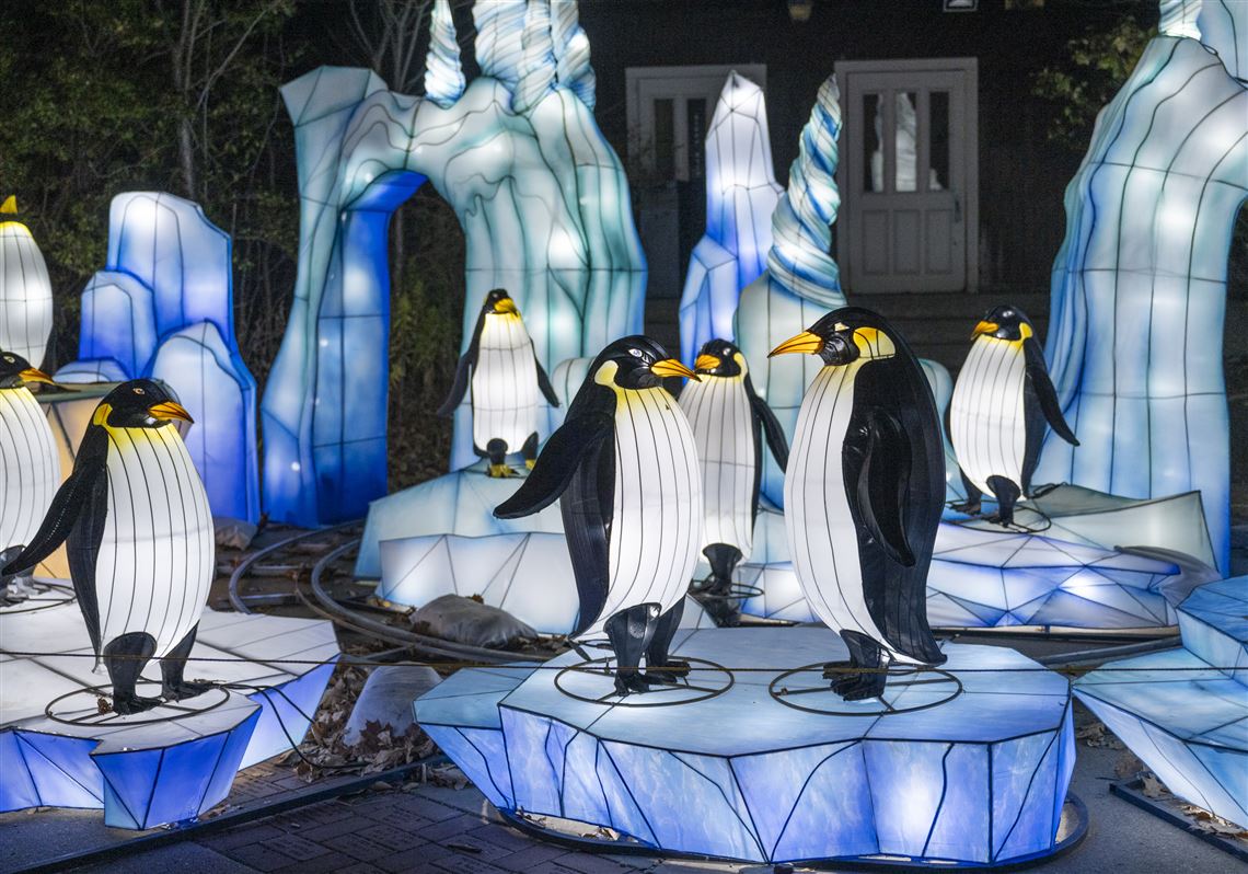 Light-up animals are the stars of Wild Illuminations light show at the ...