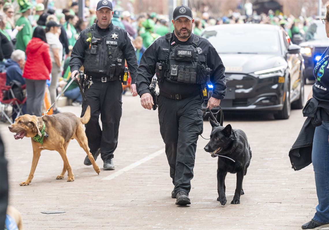 Dogs With Guns Take Over, Jaeger: Sheriff's Office Has A New Police