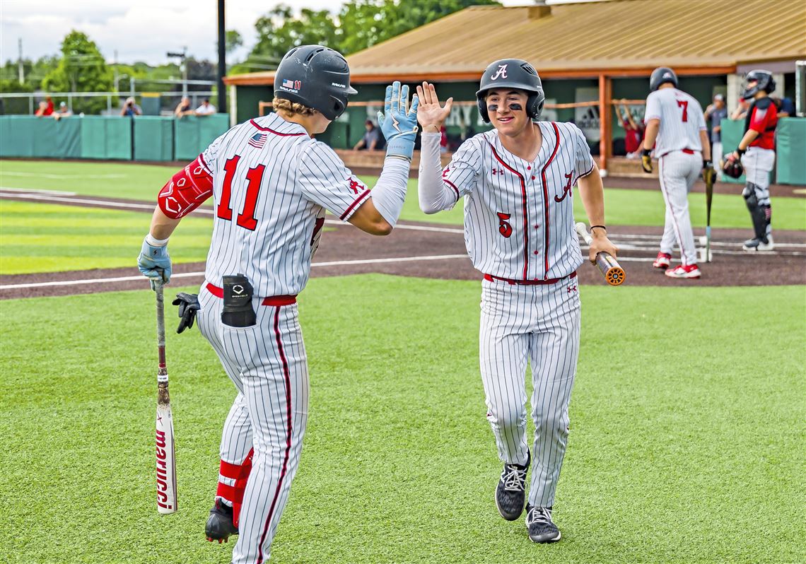 Avonworth in PIAA state baseball semifinals after close wins ...