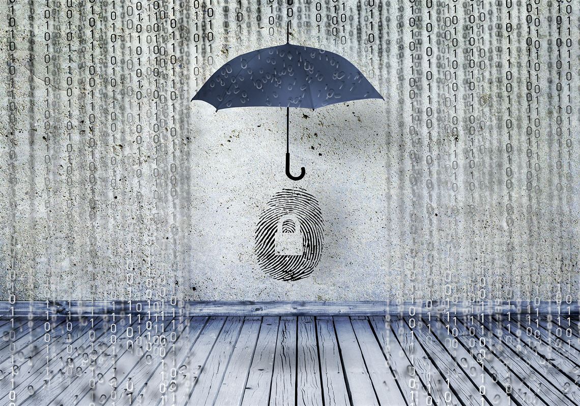 Stephen L. Carter: The DNC lawsuit misses an opportunity | Pittsburgh ...