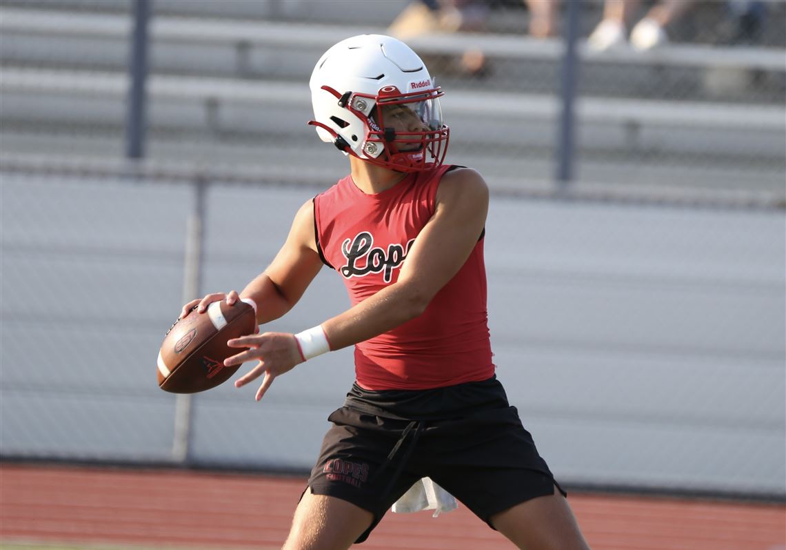 WPIAL Class 4A, 3A roundup: Nico Neal's late TD leads Avonworth to ...