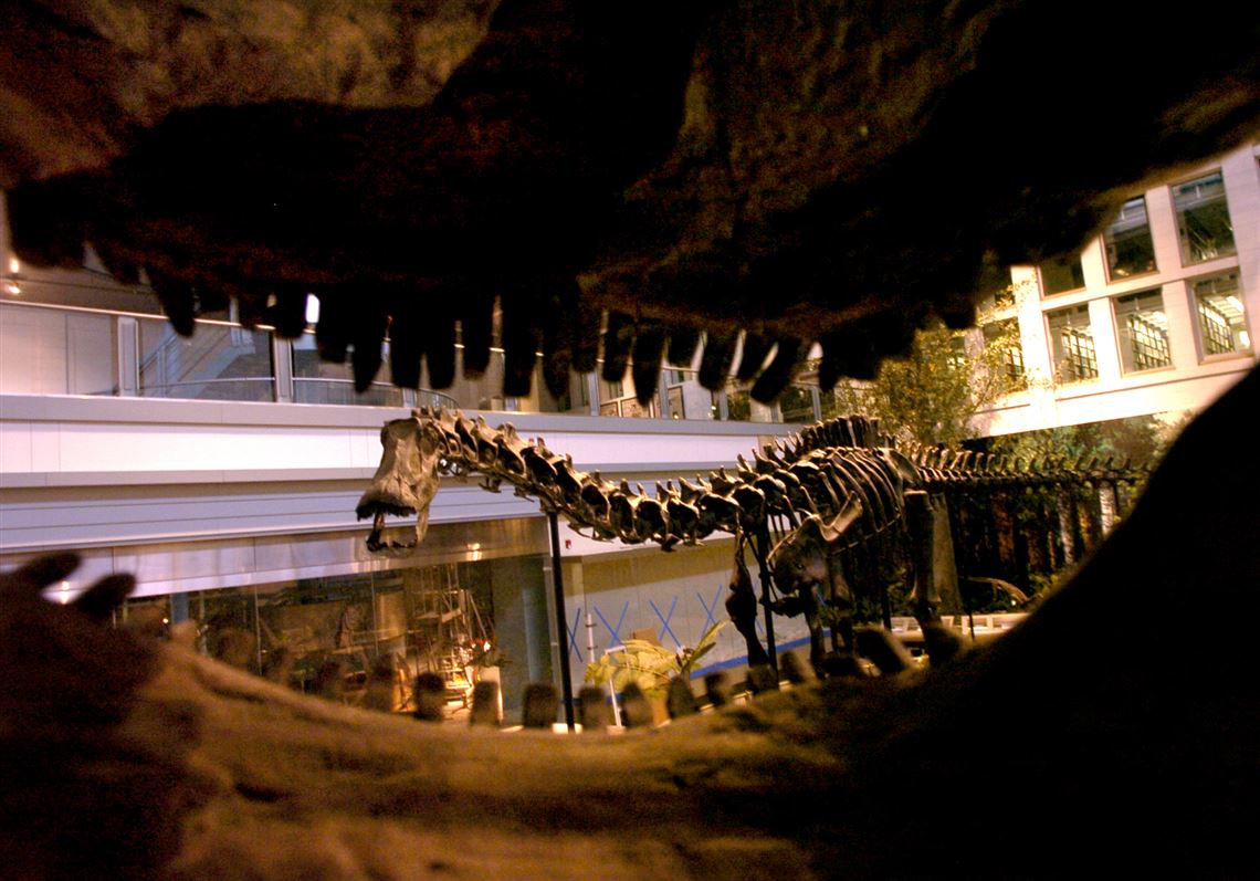 Mary Pezzulo: Faces of eviction: A day at the museum with children ...