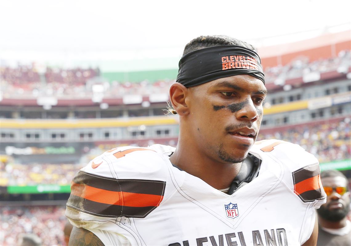 Terrelle Pryor, coach George Novak among WPIAL Hall of Fame selections ...