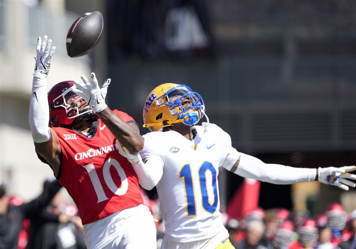 Portal Panthers Logo Portal Football 2024 Statesboro Herald