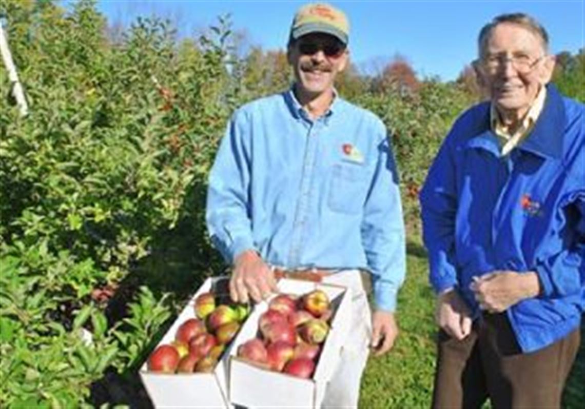Father and son help bring back the Black Amish apple | Pittsburgh Post ...