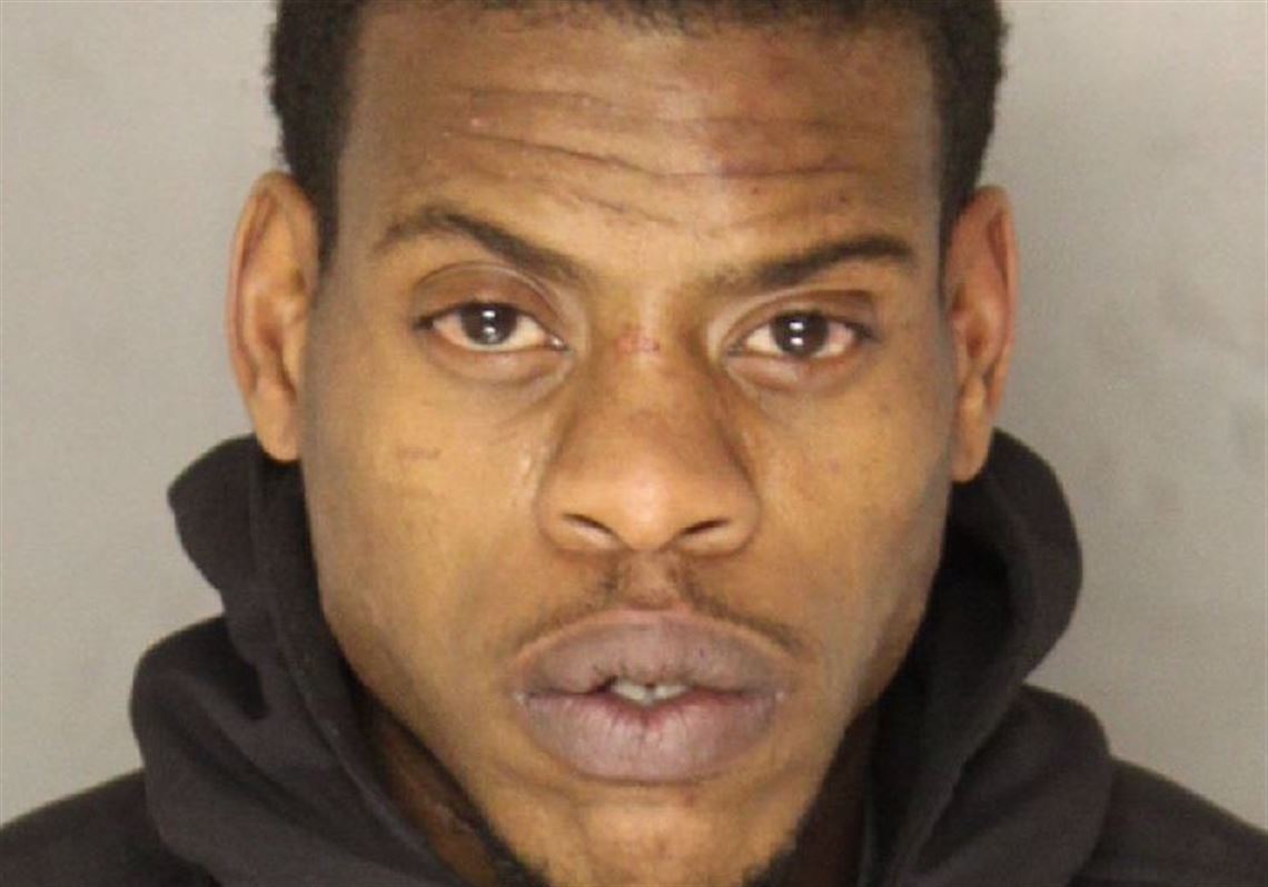 Man sought in Spring Hill domestic dispute attacks police dog, is ...