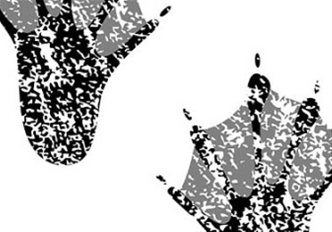 Footprints can do more than identify a species | Pittsburgh Post-Gazette