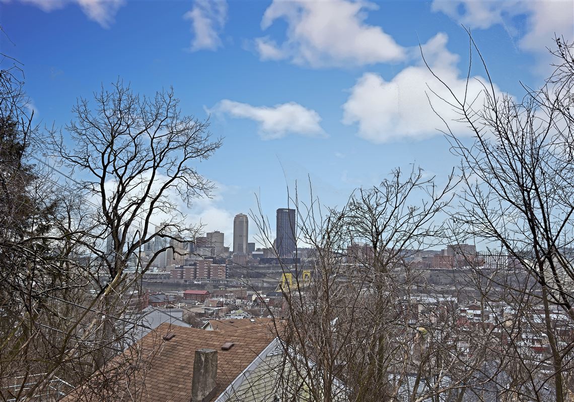 Buying Here: A million-dollar view for under $70,000 on the South Side ...