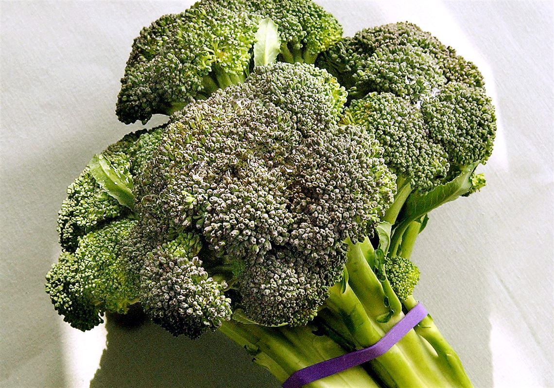 Pitt says broccoli compound holds potential to prevent head and neck ...
