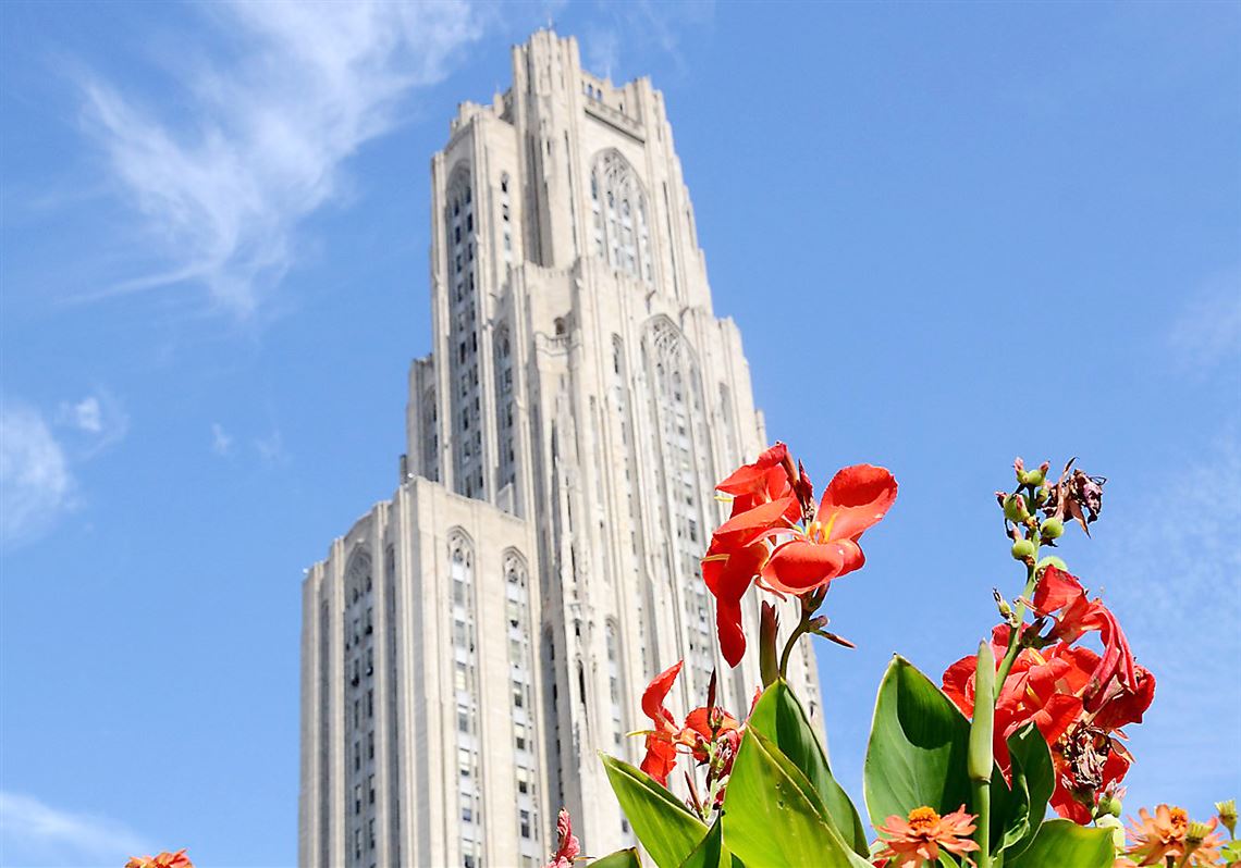 Schenley Plaza garden shows off flowers named All-America Selections ...