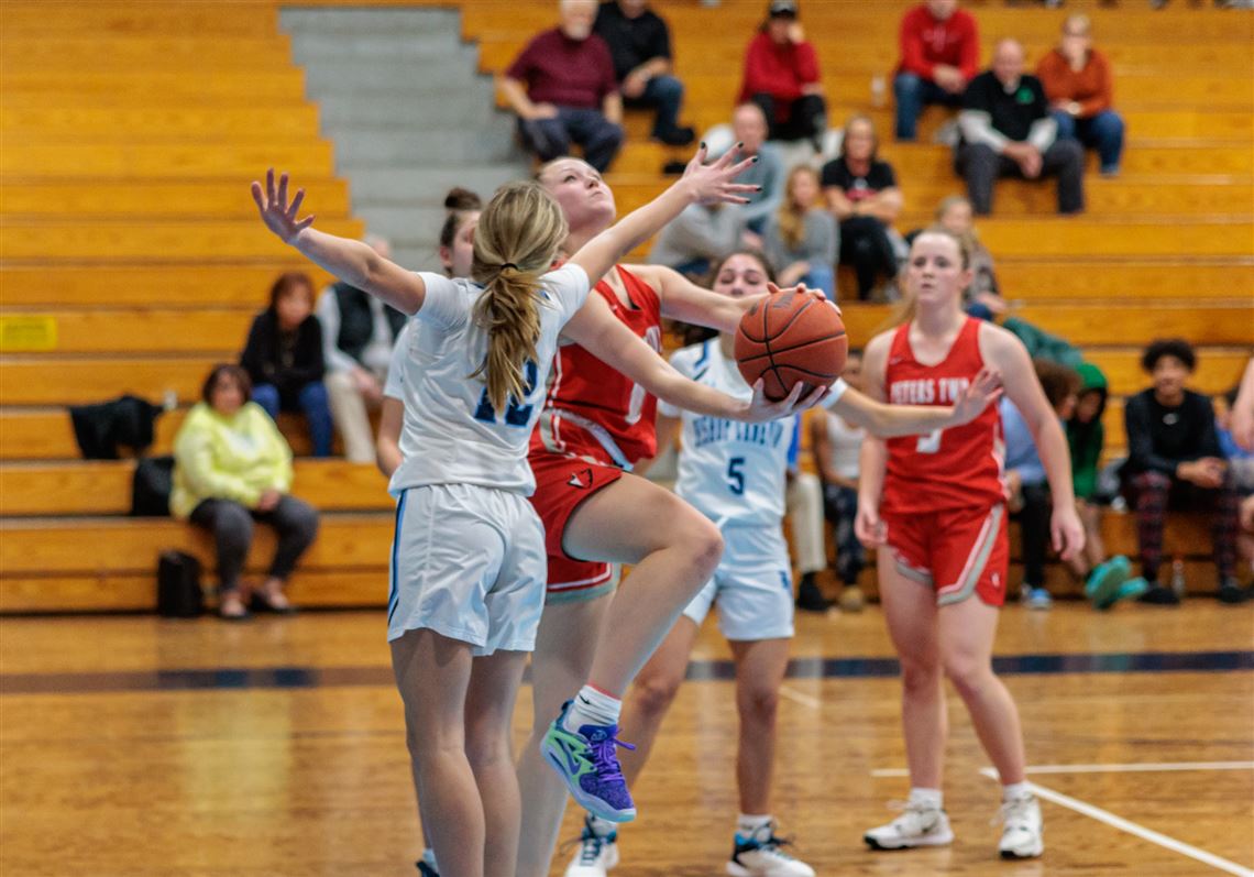 High school girls basketball notebook: Peters Township's Gemma Walker ...