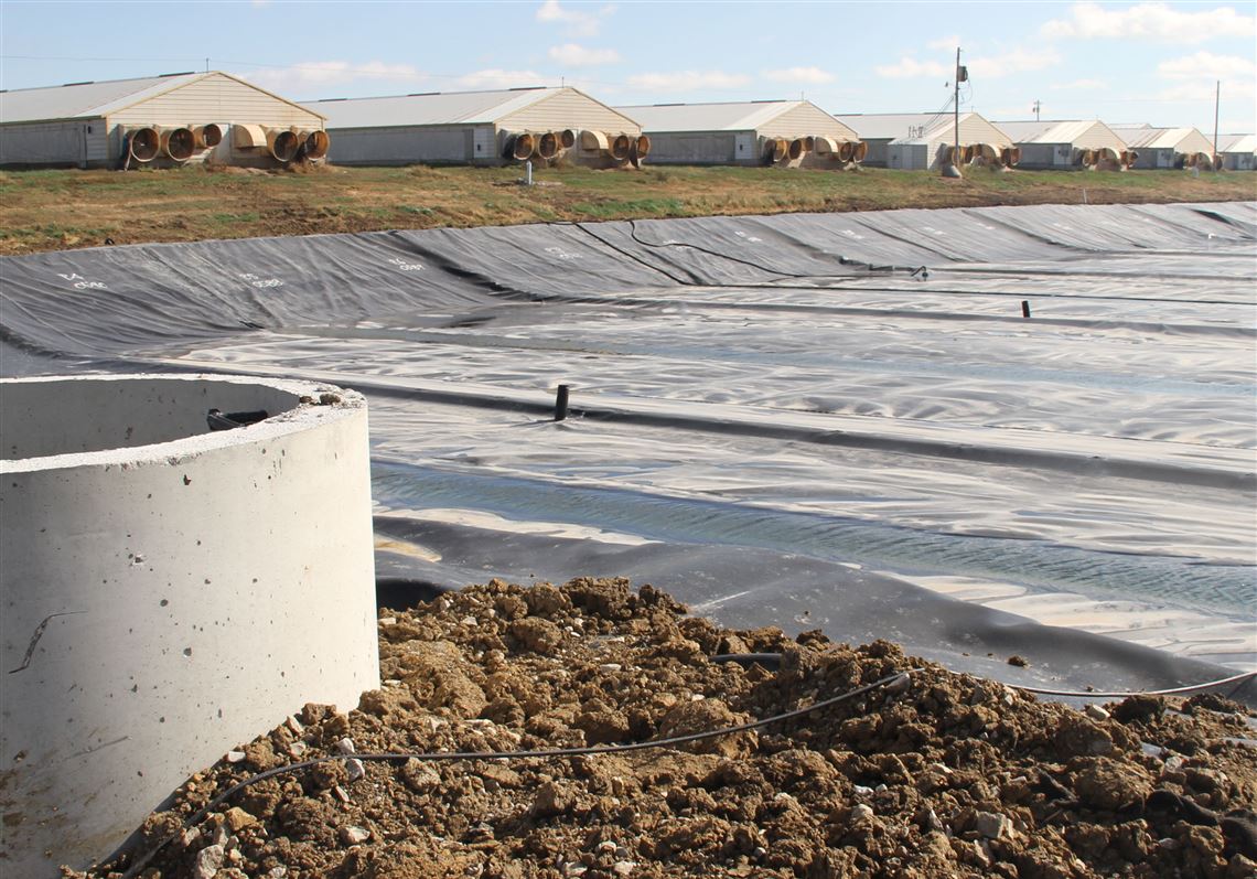 Can trading pollution like stocks help fight climate change ...