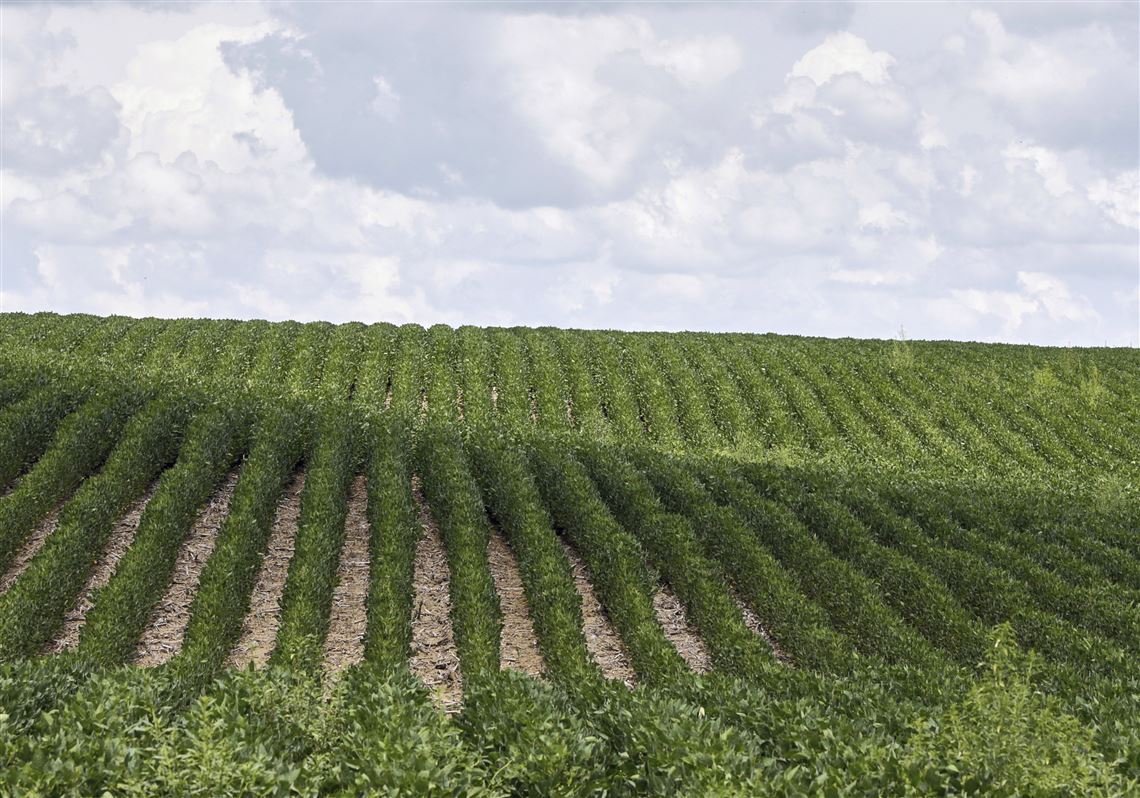 U.N. climate report: Change land use to avoid a hungry future ...