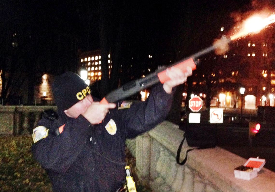 The battle is on: the Capitol police v. the crows | Pittsburgh Post-Gazette