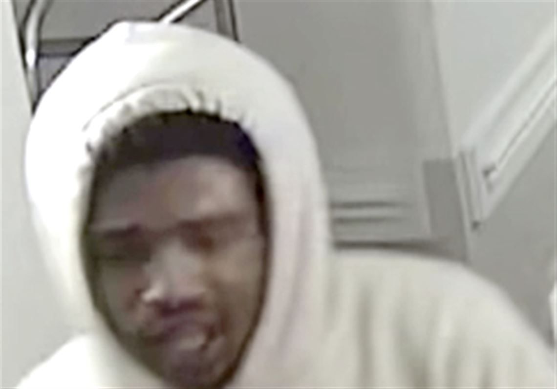 Man seen on video choking, beating small dog in Ross surrenders to ...