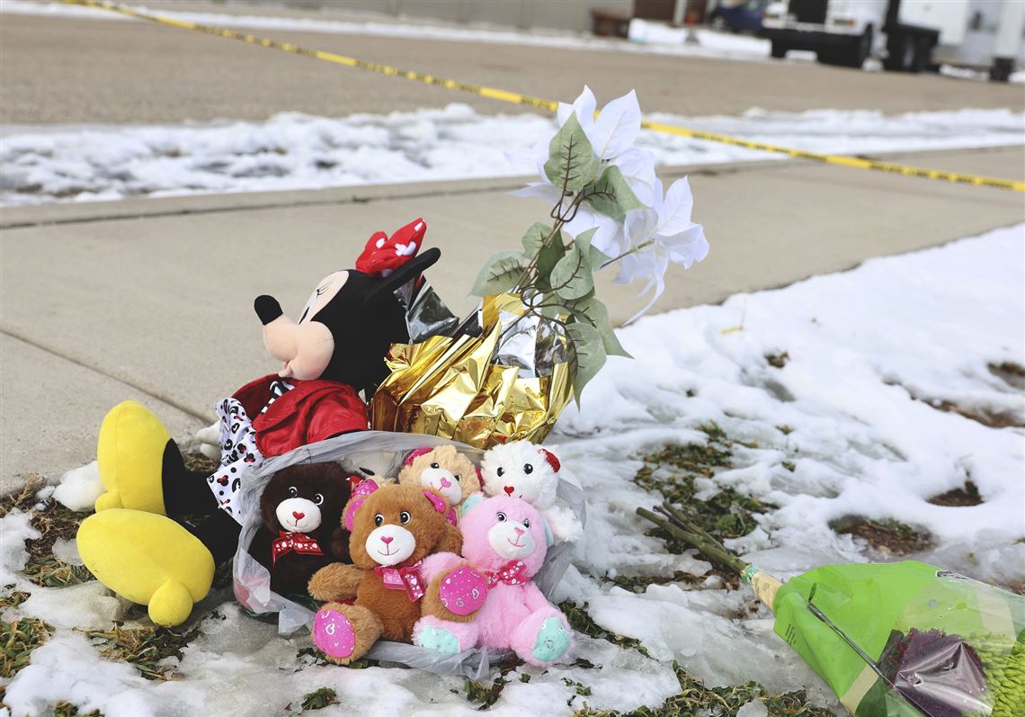 Utah murder-suicide underscores frequency of family killings ...