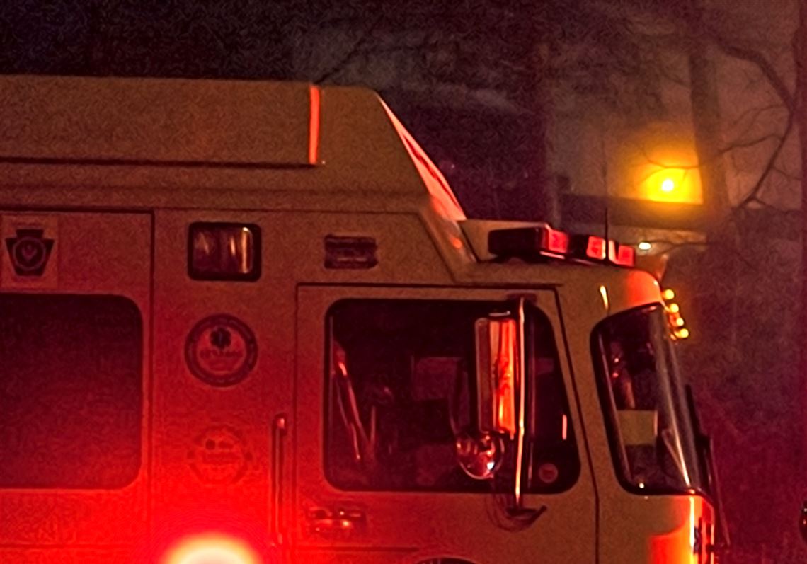 Woman dies in Carrick house fire | Pittsburgh Post-Gazette