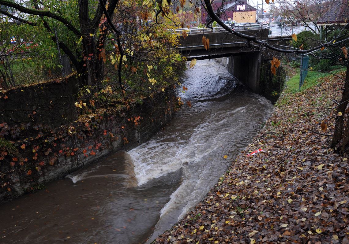 Communities face deadline for Girty’s Woods | Pittsburgh Post-Gazette