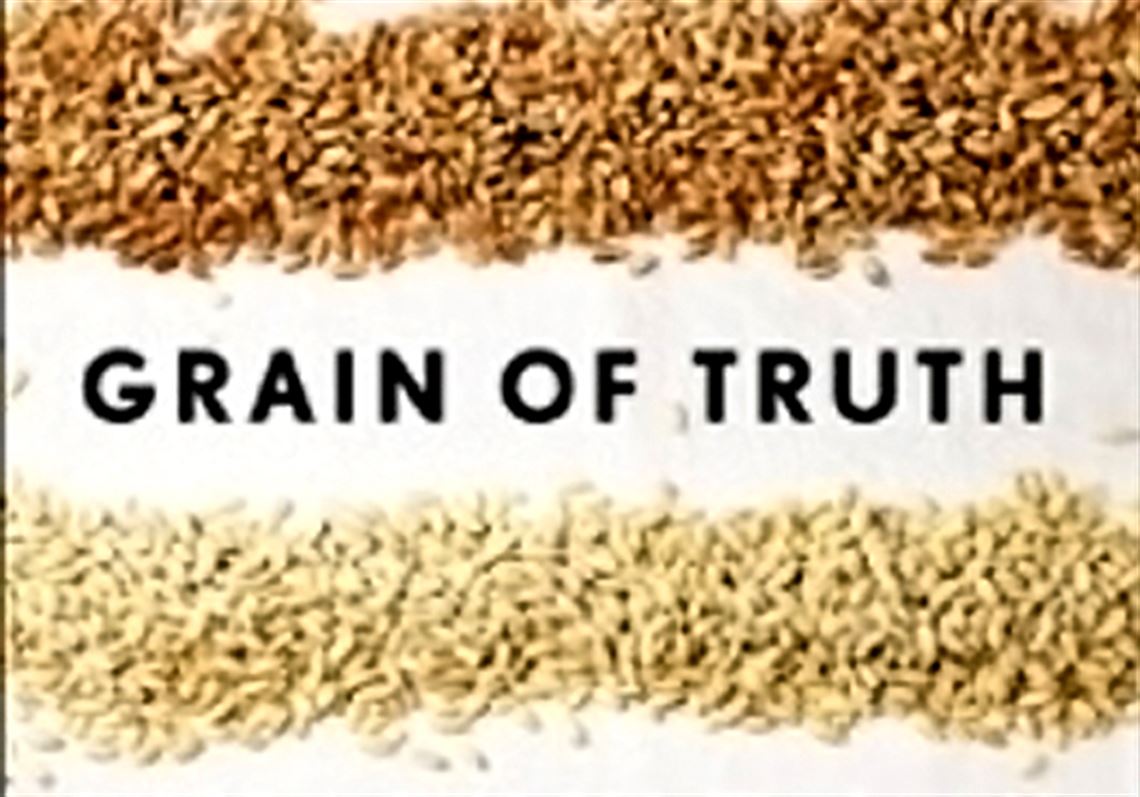 The Food Column: Writer presents 'Grain of Truth' about wheat, gluten ...