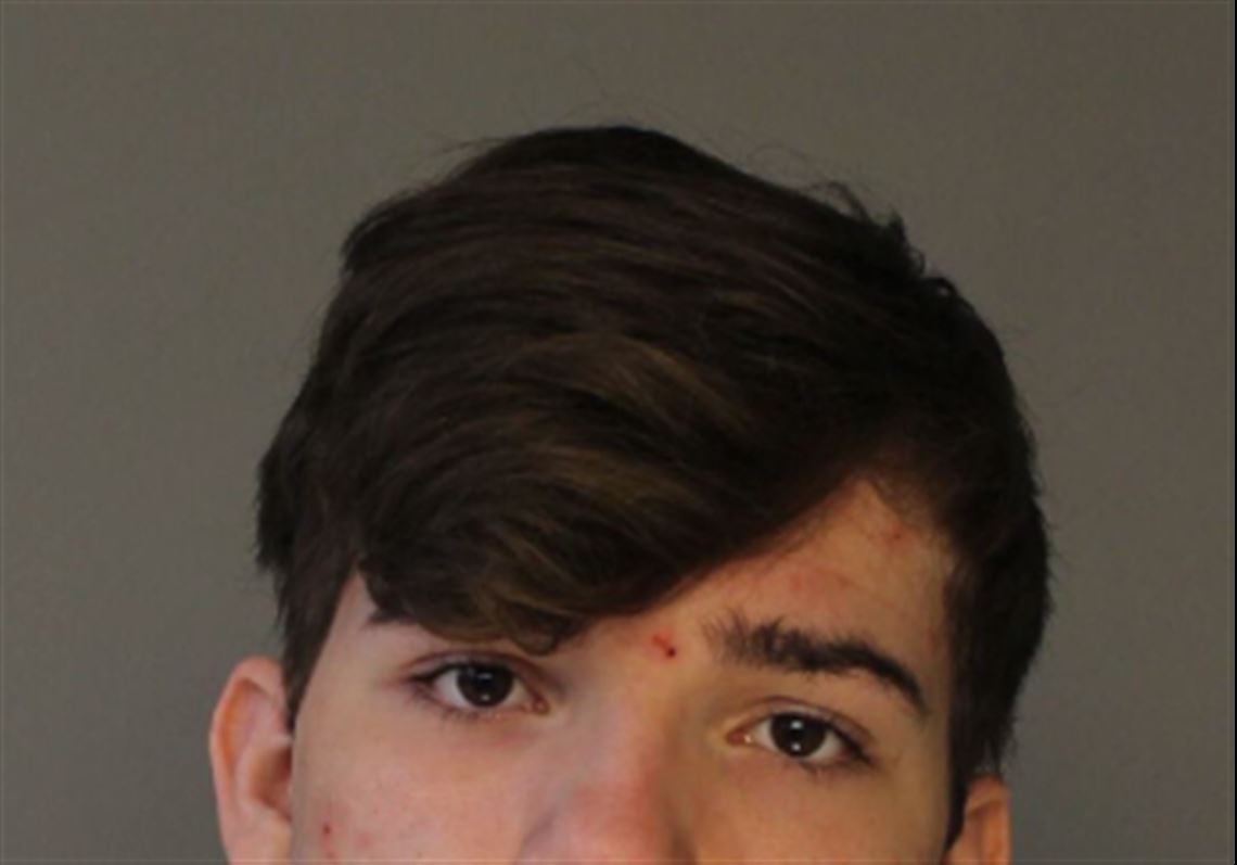 Warrant issued for 15-year-old suspect in McKeesport homicide ...