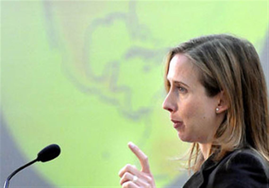 Change to 'green' is viewed as a business opportunity | Pittsburgh Post ...