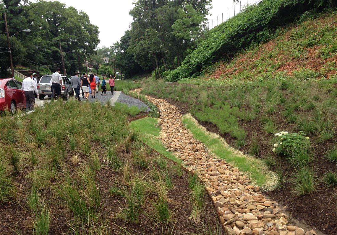 Bioswale unveiled to manage stormwater flows in Hill District ...