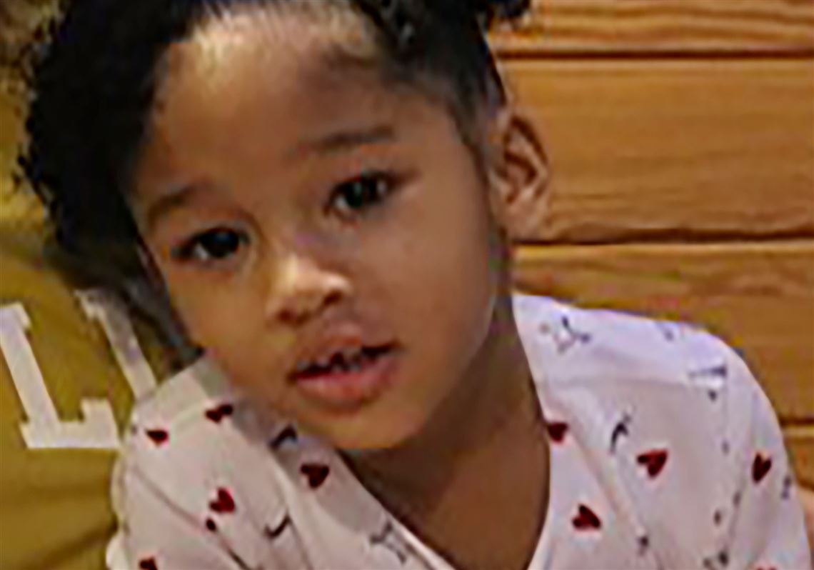 Dogs are said to have detected decomposition in the Maleah Davis case ...
