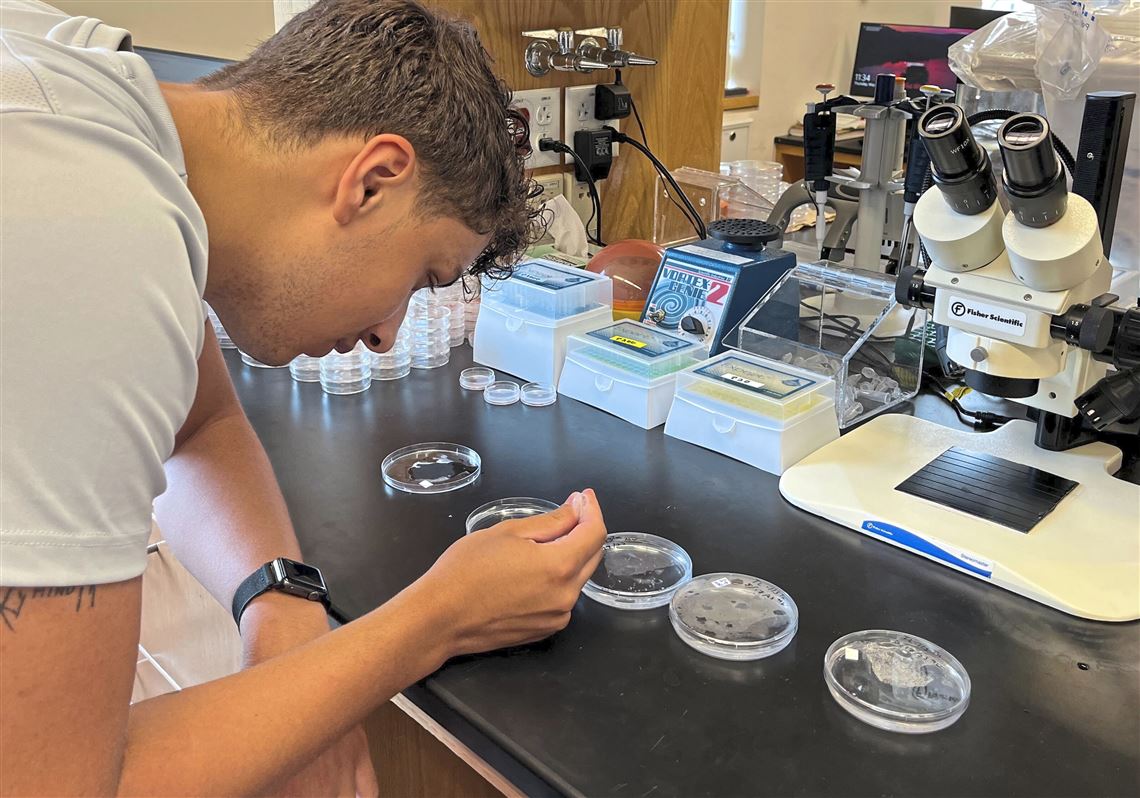 WVU neuroscience labs receive $9.3M grant, hope to ‘fill in a gap’ of ...