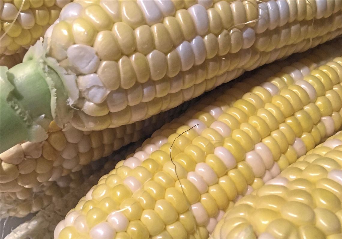 Get the kettle a boilin.' It's sweet corn season! | Pittsburgh Post-Gazette
