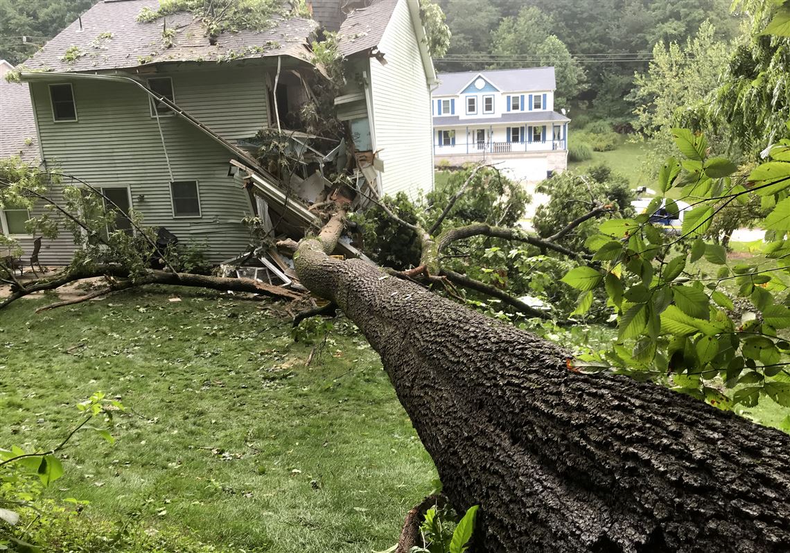 Large tree falls on Penn Township home, trapping man in his bed ...