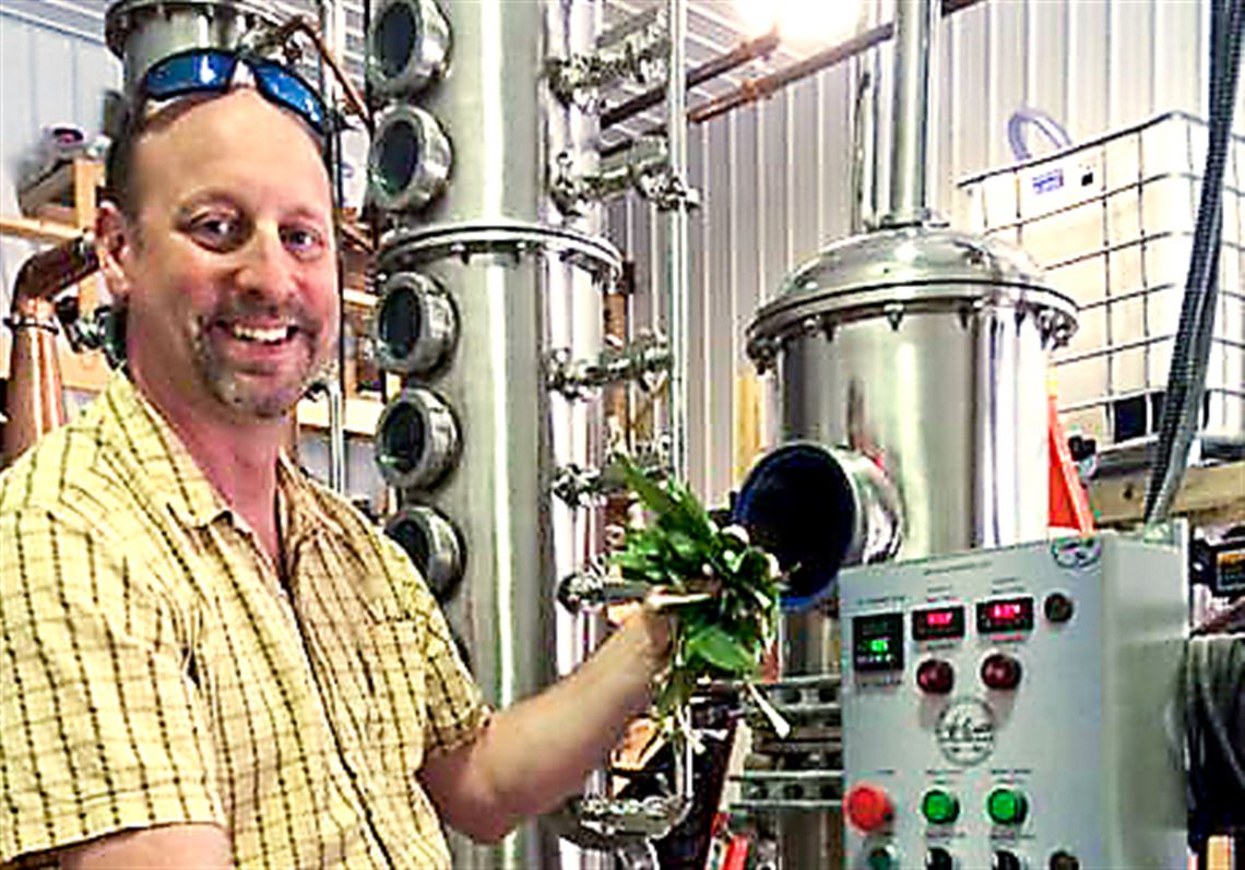 Northern Pennsylvania distillery releasing a wild leek vodka ...