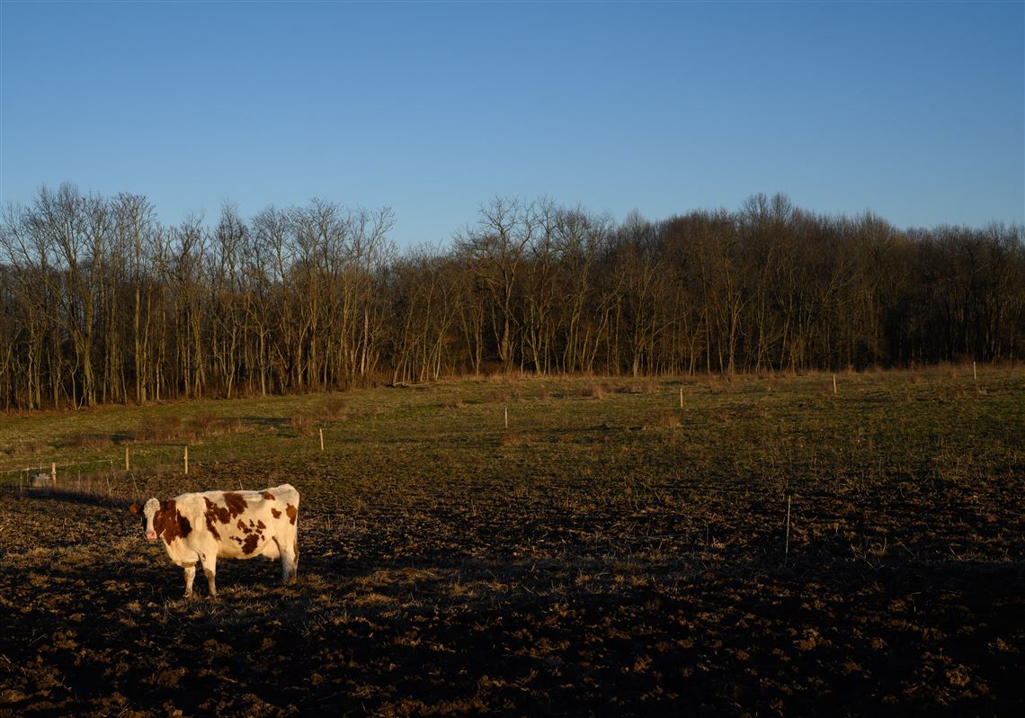 Adam Minter: American trade policy hurts farmers | Pittsburgh Post-Gazette